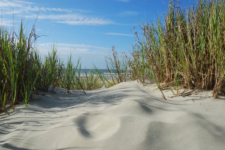Horizontal Beach Sand Dunes Stock Image - Image of idyllic, deck: 3089549