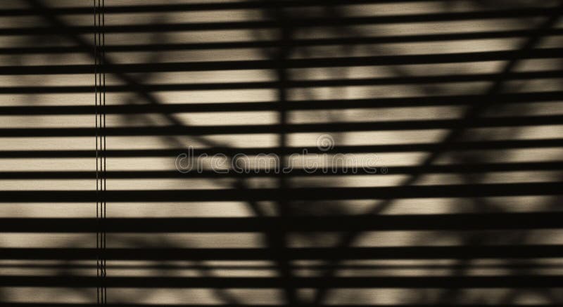 Horizontal Slats Pattern Stock Illustrations – 1,297 Horizontal Slats ...