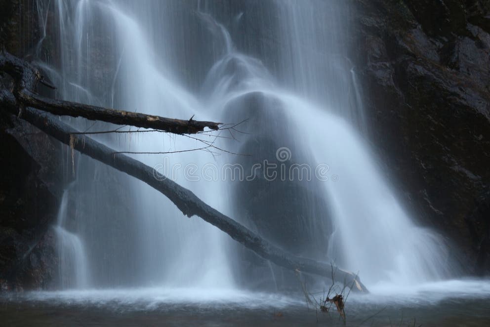 Horizontal Branches Over Water Stream Motion Stock Photo - Image of ...