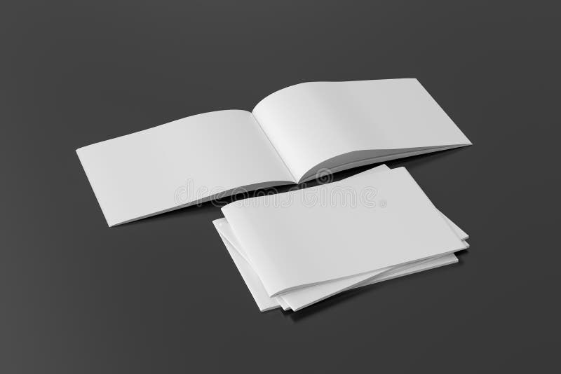 Horizontal Booklet Mock Up Stock Illustrations – 619 Horizontal Booklet ...