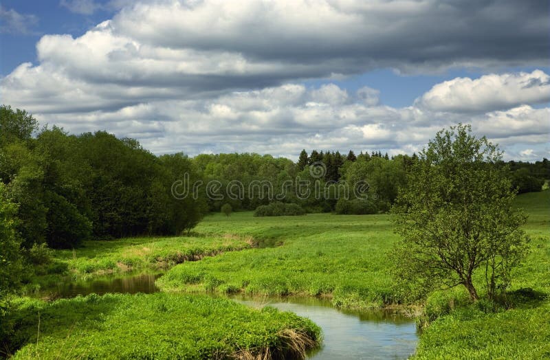 Forêt Mystérieuse, Hoia-Baciu, Roumanie Photo stock - Image du roumanie ...