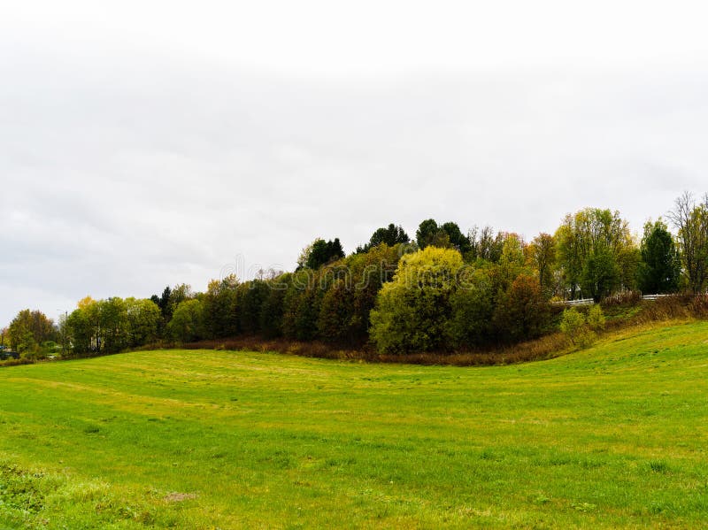 Danish field stock image. Image of growing, mood, unseasonably - 64227615