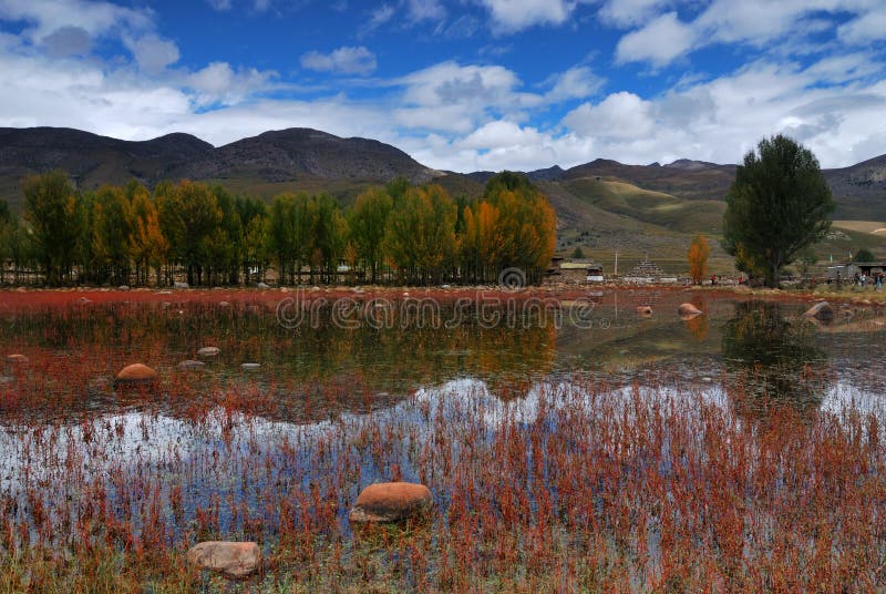 Horizontal dans Dao cheng photo stock. Image du tibétain - 16793274
