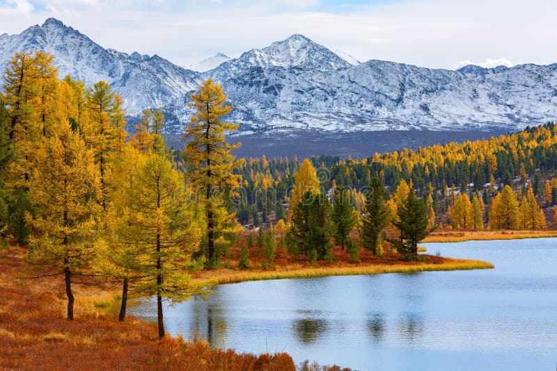 Horizontal De Montagne Automne Photo stock - Image of forêt, bleu: 77177738
