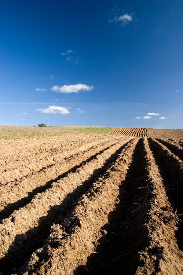 21,158 Laboure Photos libres de droits et gratuites de Dreamstime