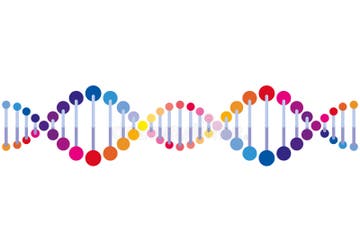 Horizontal Dna Stock Illustrations – 6,829 Horizontal Dna Stock ...