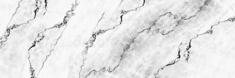 Horizontal Elegant White Marble Background Stock Photo - Image of ...