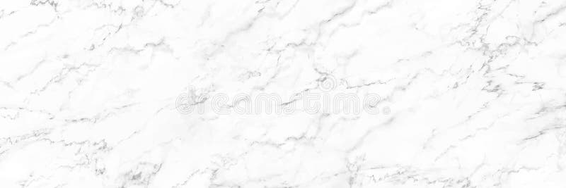 Horizontal Elegant White Marble Texture Background,vector Illustration ...