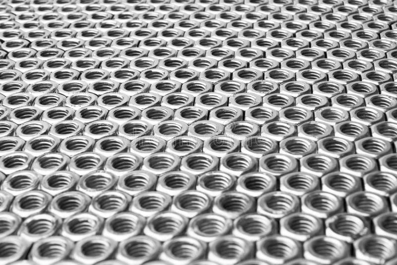 Horizontal Field Arranged in Rows of Nuts Stock Image - Image of ...