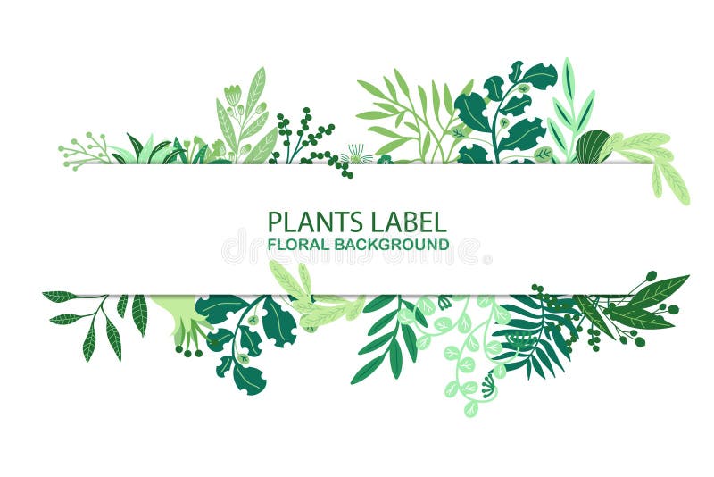 Horizontal Floral Border with Tropical Leaves and Branches. Template ...