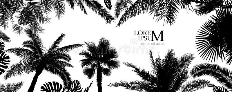 Horizontal Frame with Graphic Palm Trees. Vector Illustration Stock ...
