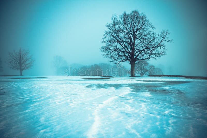 Paysage froid photo stock. Image du novembre, jour, ciel - 59233678