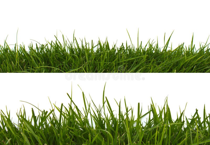 Horizontal grass stock photo. Image of fake, field, abstract - 23908652