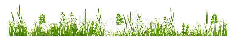 Horizontal Grass Border. Green Meadow Plants Growing Stock Vector ...