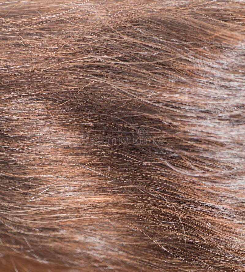 Horizontal hair backround stock photo. Image of human - 72797978