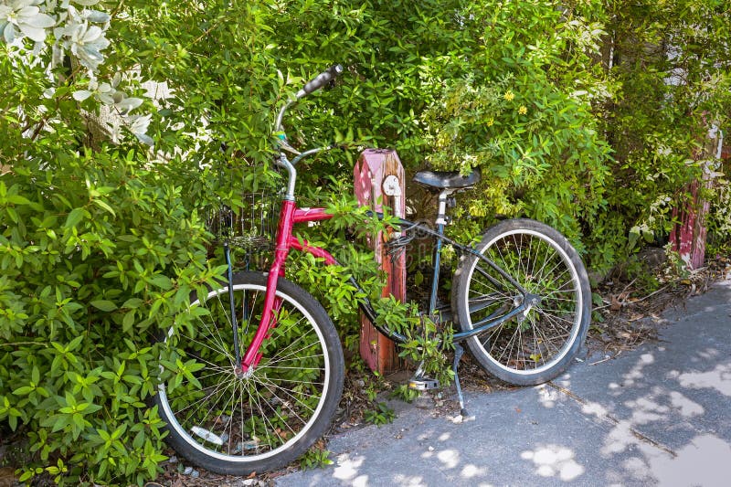 A Red Bicycle in Front of a Bush Stock Photo - Image of architecture ...