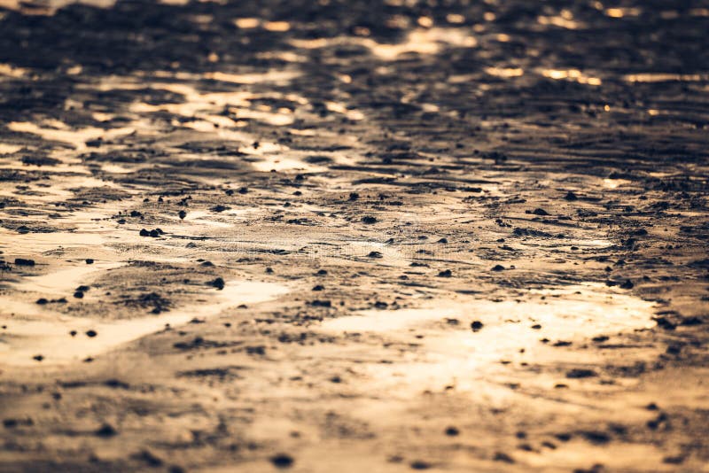 Horizontal Image of Brown Land Under the Sunlight Stock Image - Image ...