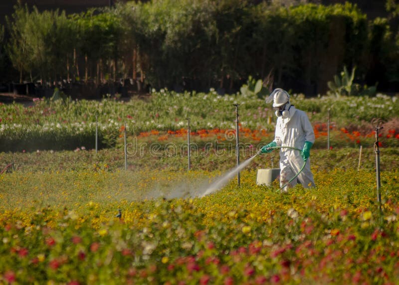 Horizontal Image of a Field Worker Dressed in a Hazardous Materials ...