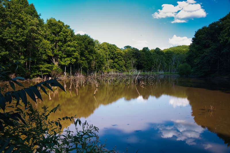 Horizontal Image of a Lake with the Reflection of Blue Sky in the ...