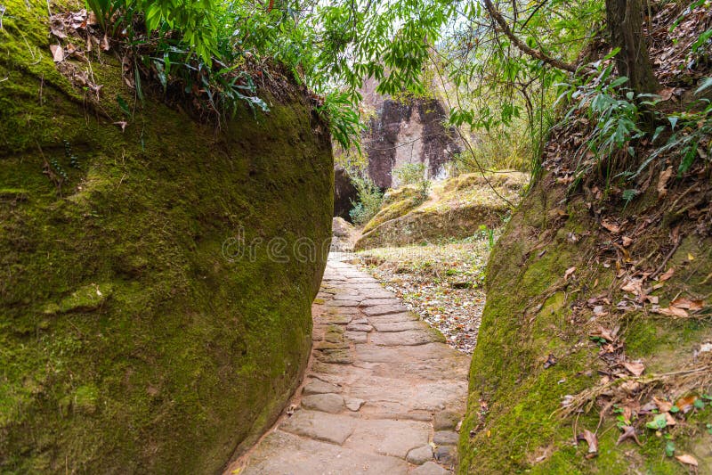 Horizontal Image of the Path through Wuyishan Scenic Area, Fujian ...