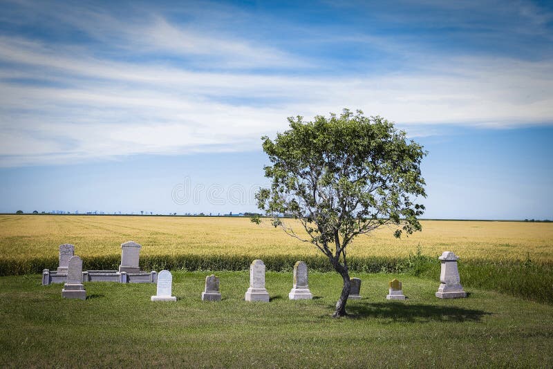 Small Serene Graveyard Sitting Peacefully with a Green Tree Stock Photo ...