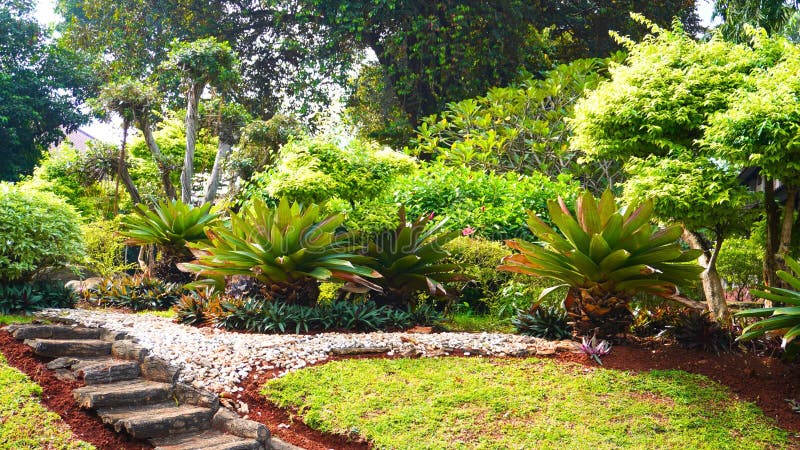 Manicured Garden Landscape stock photo. Image of open - 353178886