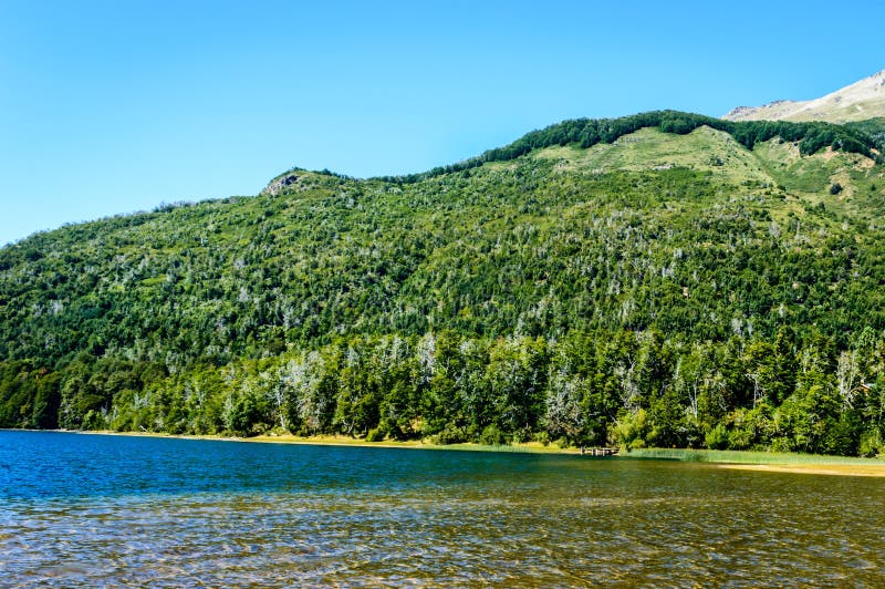 Horizontal Landscape of a Calm Lake and a Hill Covered with Trees Stock ...