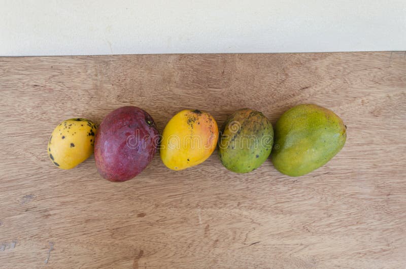 Horizontal Line of Mangoes stock image. Image of fresh - 256094683