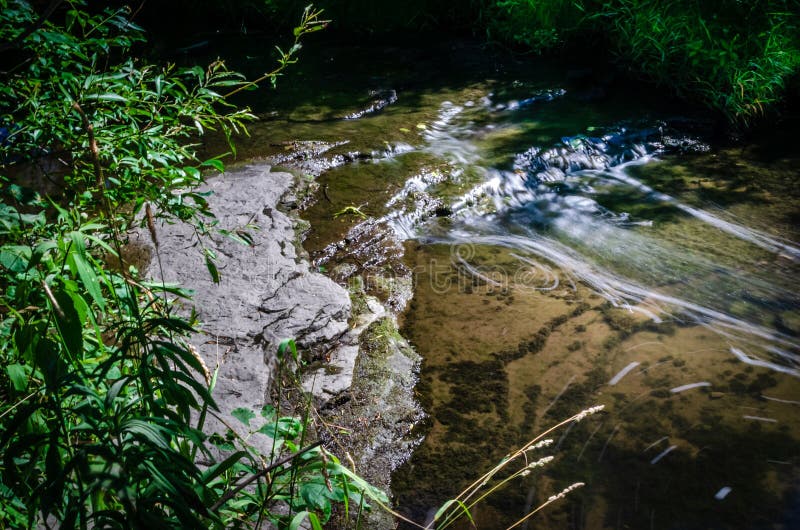 Horizontal Long Exposure Close-up of a Shallow Stream Flowing Over ...