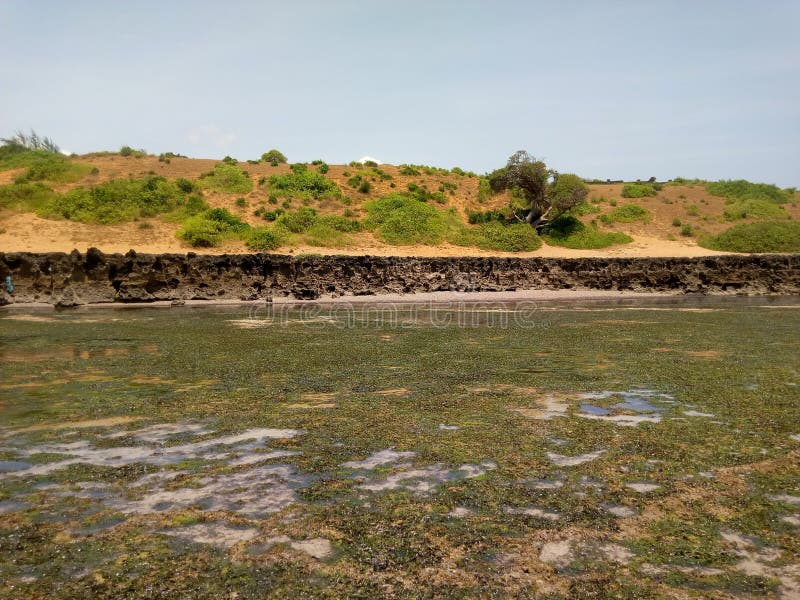 Horizontal Ocean Shore Rocks Stock Photo - Image of rocks, horizontal ...