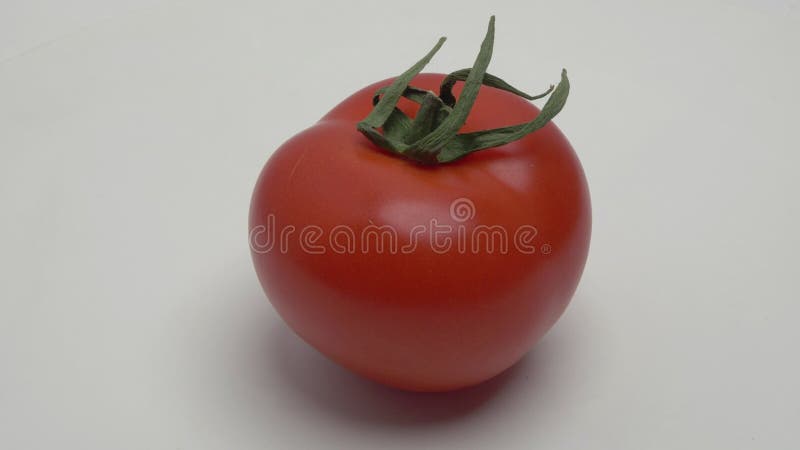 Horizontal Panorama of a Red Tomato on a White Background. Stock Video ...