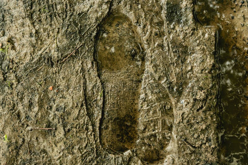Horizontal Photo of a Footprint in the Mud Stock Image - Image of ...