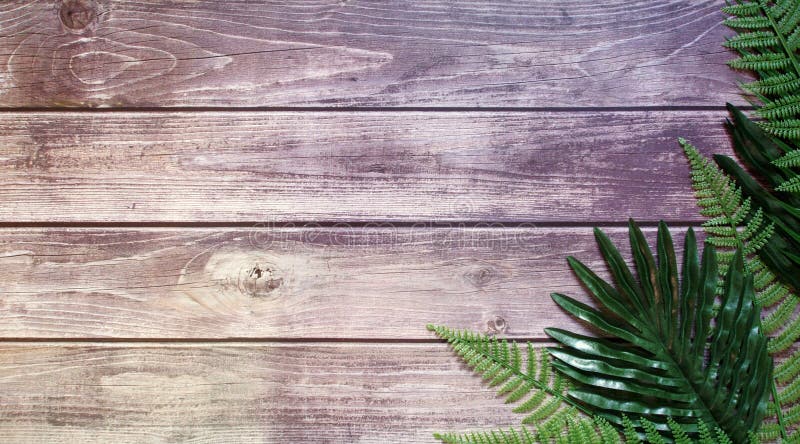 Horizontal Plank Background with Decorative Leaves in the Right Corner ...