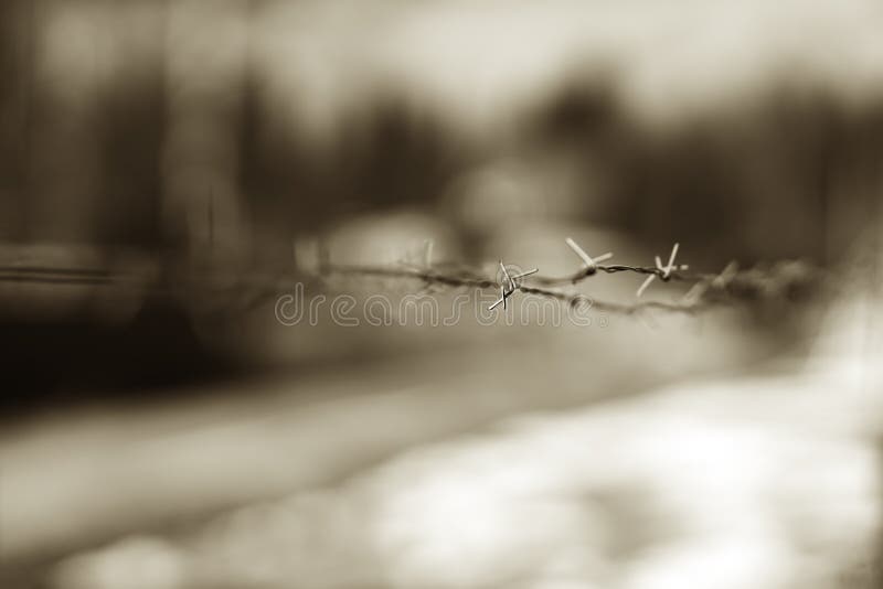Dramatic Jail Fence Bokeh Backdrop Stock Photo - Image of composition ...
