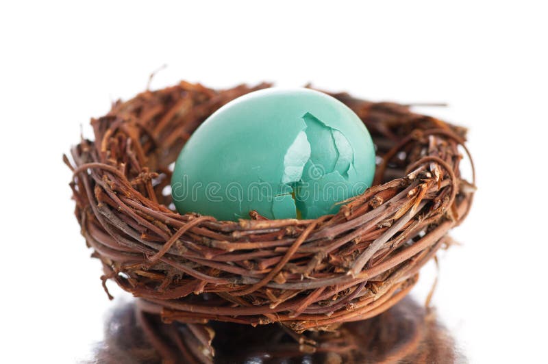 Broken Robins Egg in a Nest Stock Image - Image of newborn, hatch: 29862757
