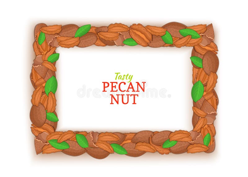 Cashew Horizontal Seamless Border. Vector Illustration Card Top and ...