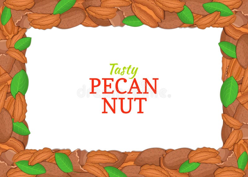 Cashew Horizontal Seamless Border. Vector Illustration Card Top and ...