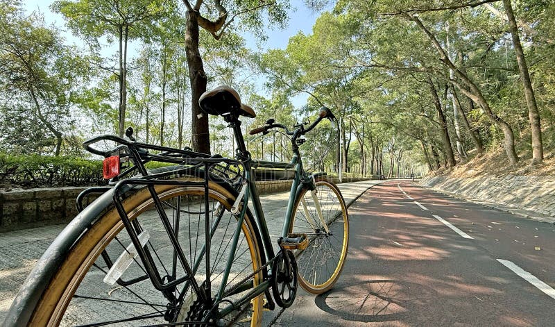 Horizontal Retro Bike on the Bicycle Lane during the Daytime Stock Photo - Image of retro ...