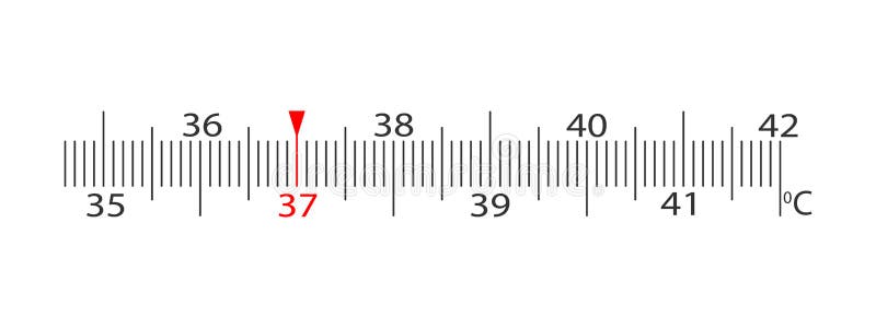 Horizontal Scale of Body Thermometer with Temperature Marking in ...
