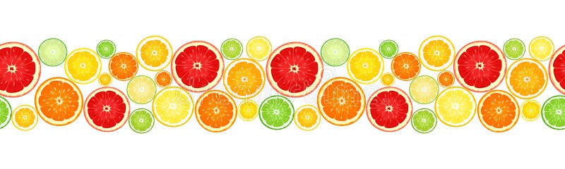 Horizontal Seamless Background with Citrus Fruits. Vector Illustration ... Horizontal Seamless Background with Citrus Fruits. Vector Illustration ...