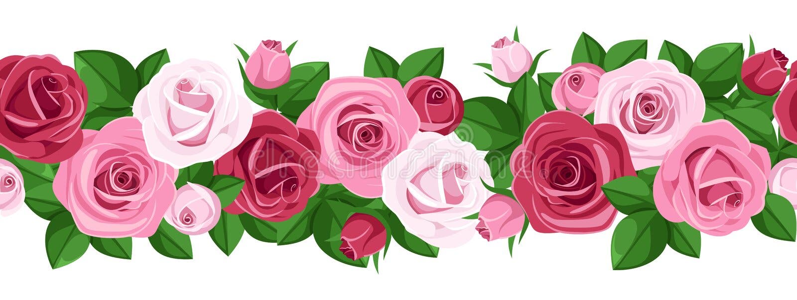 Pink and White Roses. Vector Illustration. Stock Vector - Illustration ...