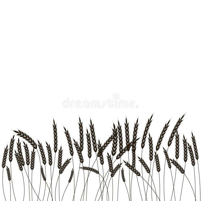 Horizontal Seamless Border of Wheat in Sketch Vector Illustration ...