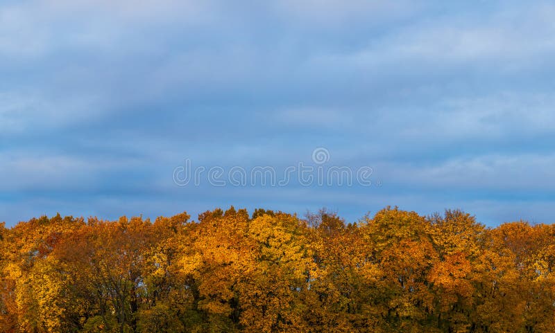 Horizontal Seamless Landscape Background with Orange Woods and Blue ...