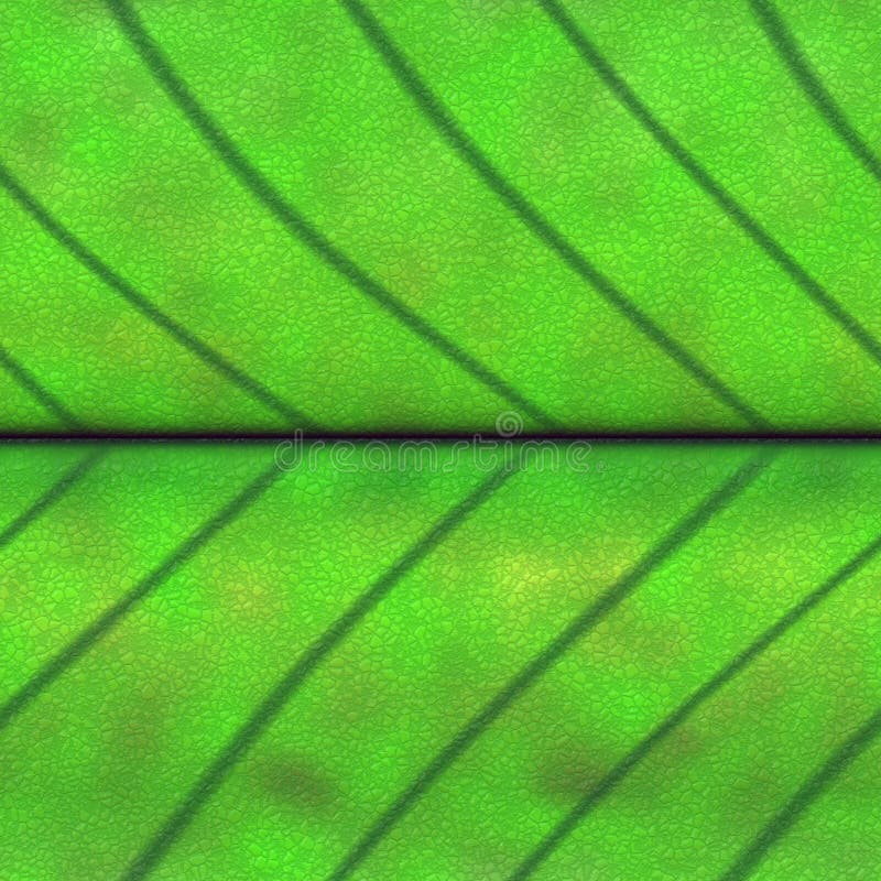 Seamless Emerald Forest Moss Pattern Stock Illustration - Illustration of vegetation, hash ...