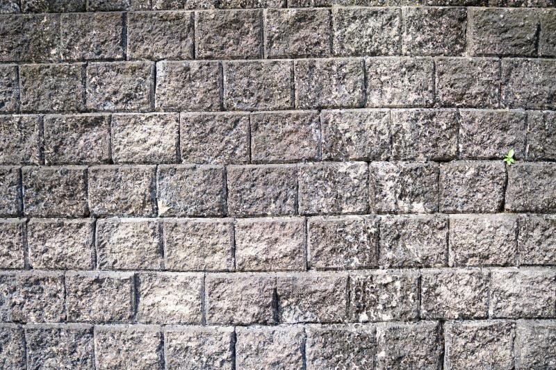 The Horizontal Section of the Natural Brick Wall or Old Stone Surface ...
