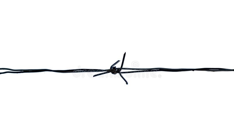 Horizontal Sharp Barb Wire Isolated on White Background. Closeup Stock ...