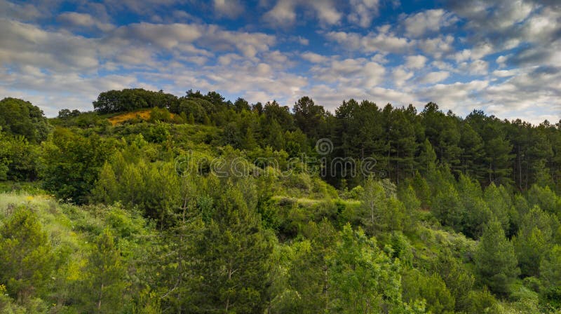 Horizontal Shot of a Beautiful Natural Landscape of a Forest Under ...