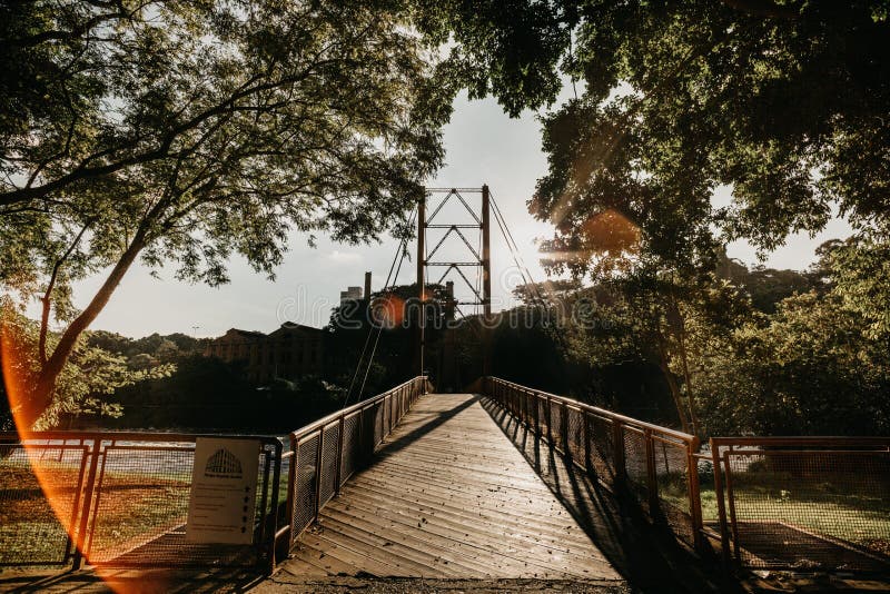 Horizontal Shot of a Cable-stayed Bridge Over a River in a Park Stock ...