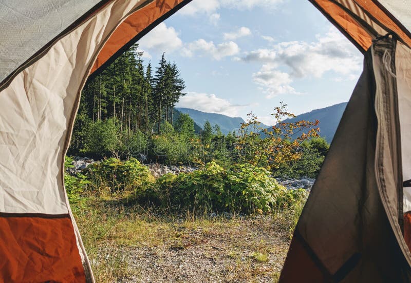 Horizontal Shot of a Mountain Forest Done from Inside of a Tent Stock ...