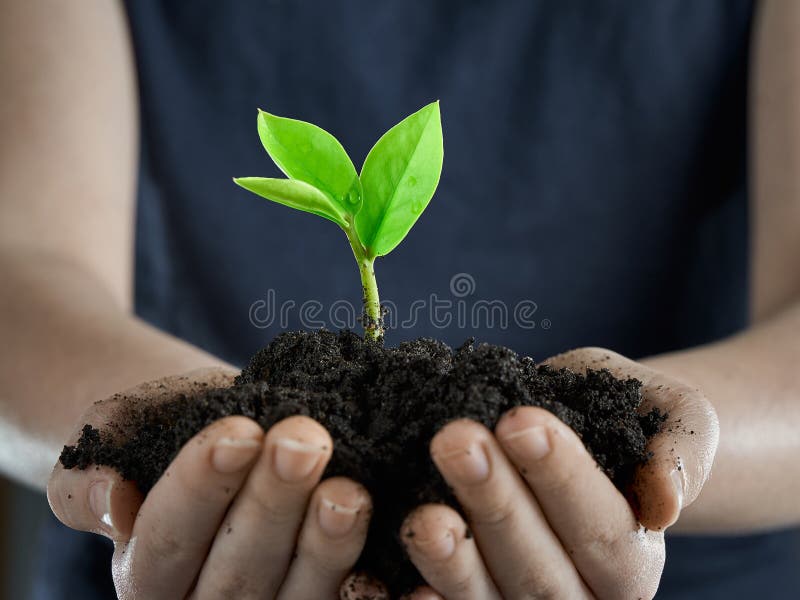 2,596 Nurturing Growth Stock Photos - Free & Royalty-Free Stock Photos ...